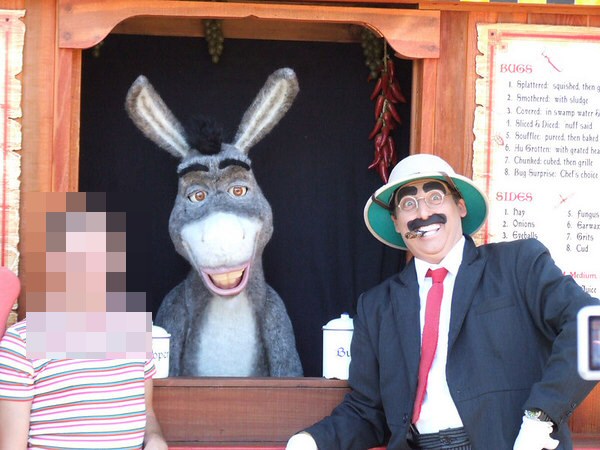 Donkey Shrek Waffles