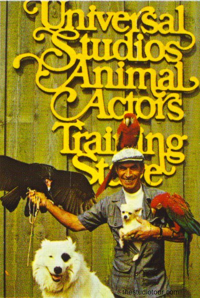 Animal Actors Stage - theStudioTour.com