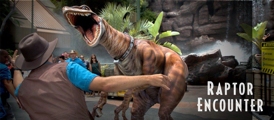 Raptor Encounter - theStudioTour.com